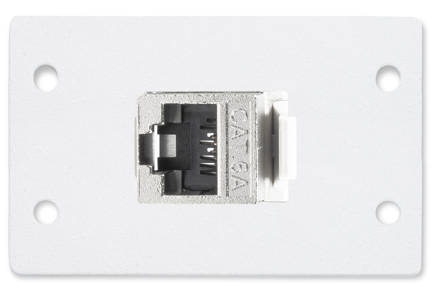 One XTP DTP Punch Down Jack - Architectural Connectivity | Extron